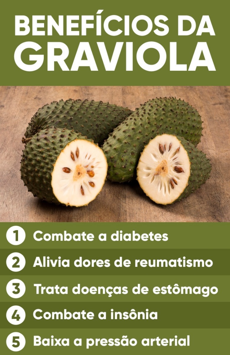 Frutas que Parecem com Pinha a Graviola – Mundo Ecologia
