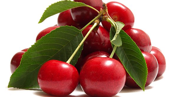 Características da Acerola: Vitaminas e Fotos | Mundo Ecologia