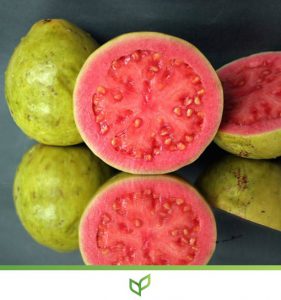 Tipos De Goiabas, Variedades E Classificações Inferiores Com Fotos ...