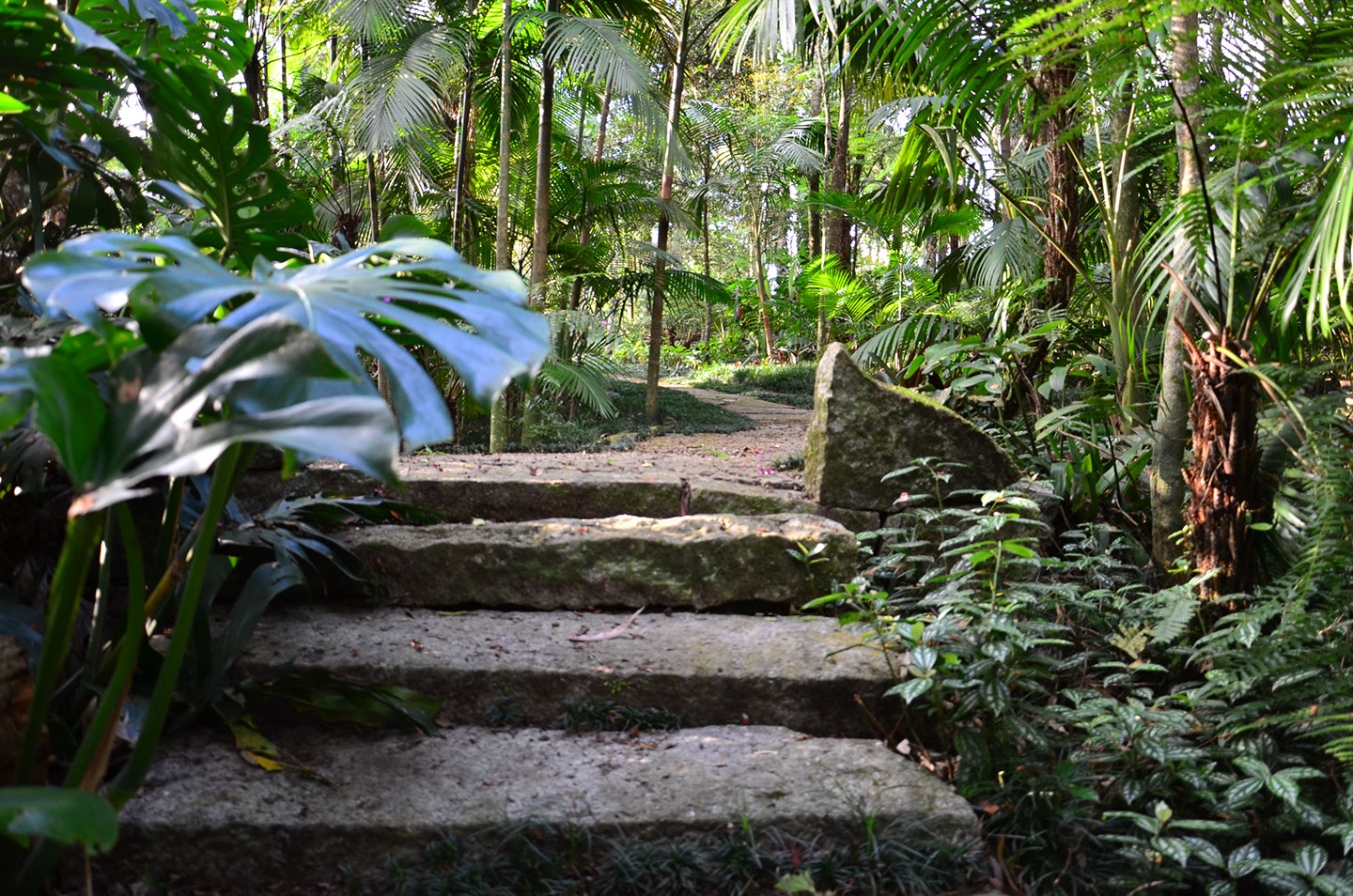 Gongolo: Compostagem – Alternativa Eficaz para Compostos Orgânicos ...