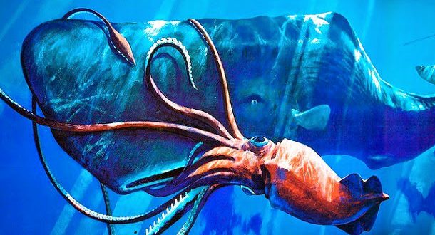 Lula Gigante e Colossal: Características e Fotos | Mundo Ecologia