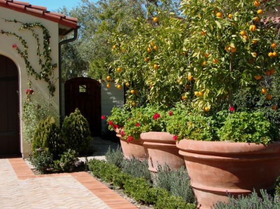 Paisagismo e Jardins Residenciais com Árvores Frutíferas | Mundo Ecologia