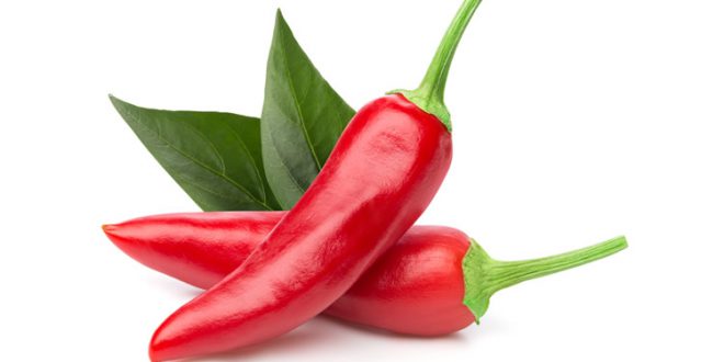 Pimenta é Fruta ou Legume? Aspectos Históricos, Culturais, Cor, Sabor e ...