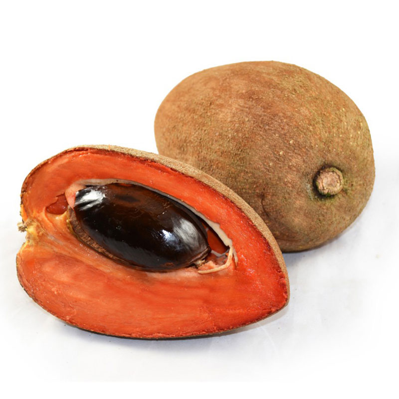 Como Plantar Mamey: Dica de Cultivo – Mundo Ecologia