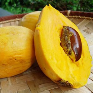 Fruta Mamey: Benefícios e Malefícios – Mundo Ecologia