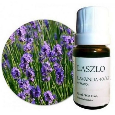 Lavanda – Para Que Serve? – Mundo Ecologia