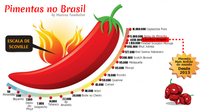 Pimenta Pitanga Amarela é Ardida? Qual sua Origem? | Mundo Ecologia