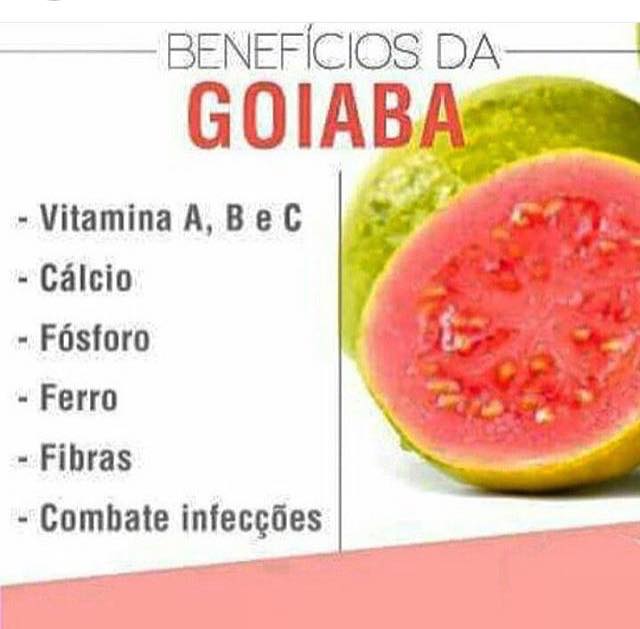 Goiaba Vermelha: Nome Científico, Características e Tabela Nutricional ...