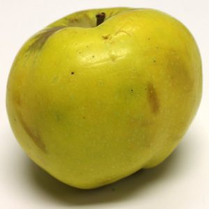 Maçã Golden Delicious: Benefícios, Calorias, Preço e Fotos – Mundo Ecologia