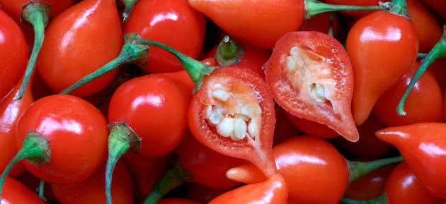 Qual a Pimenta mais Ardida do Mundo? | Mundo Ecologia