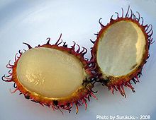 Carambola Rambutão: Fotos e Características – Mundo Ecologia