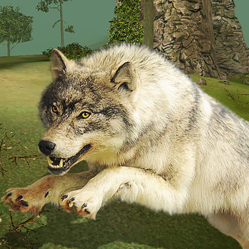 Lobo Características de Personalidade e Psicológicas – Mundo Ecologia