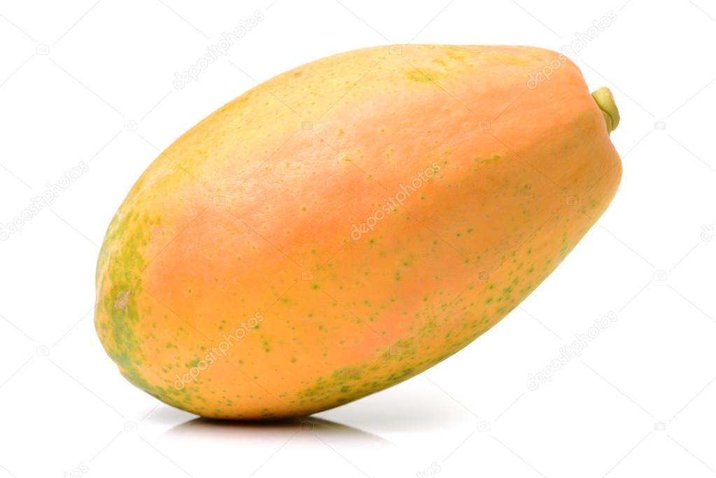 Por que as Flores do Mamoeiro Caem? Doenças Comuns | Mundo Ecologia