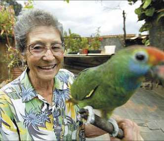 Maritaca Ou Maitaca? Qual É O Certo De Escrever? | Mundo Ecologia