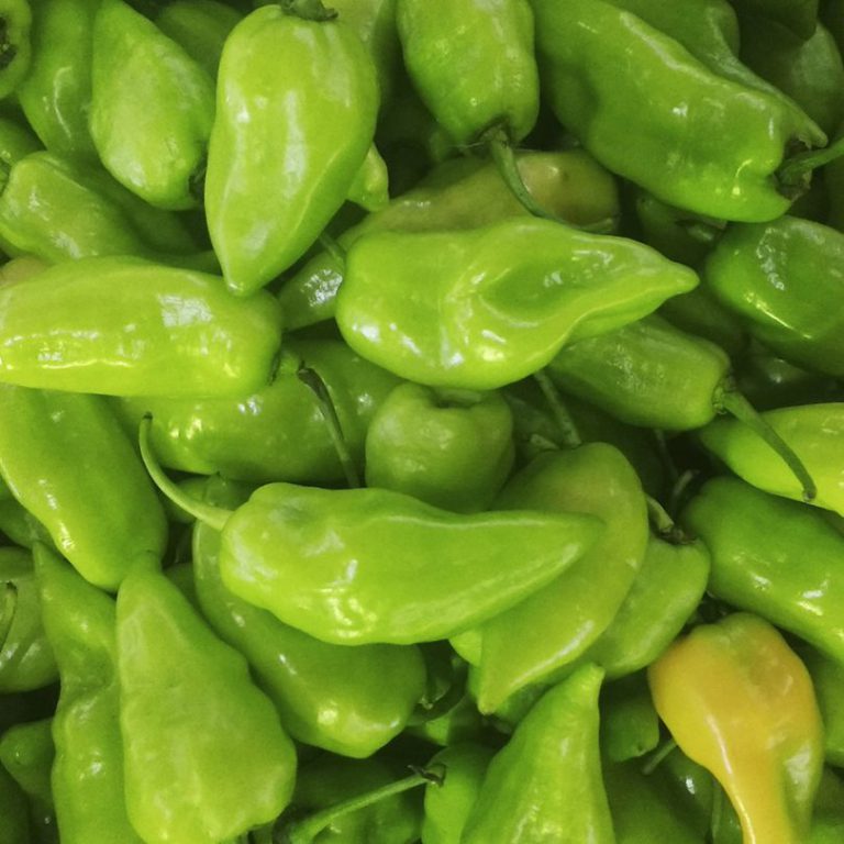 Pimenta De Cheiro: Para Que Serve? Como Usar? | Mundo Ecologia