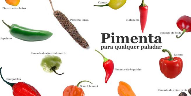 Qual a Melhor Pimenta do Brasil? | Mundo Ecologia