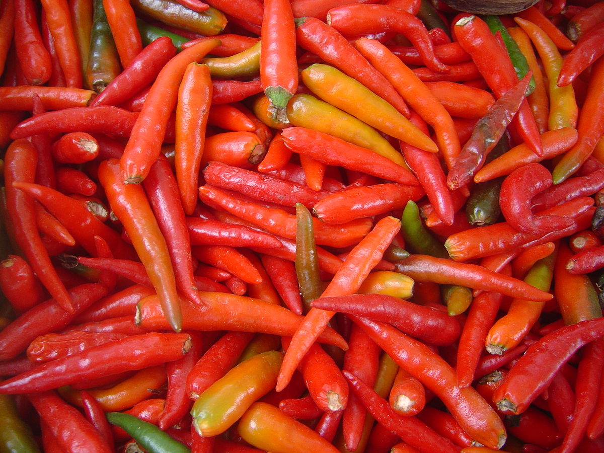 Classificação da Pimenta e Nome Científico | Mundo Ecologia