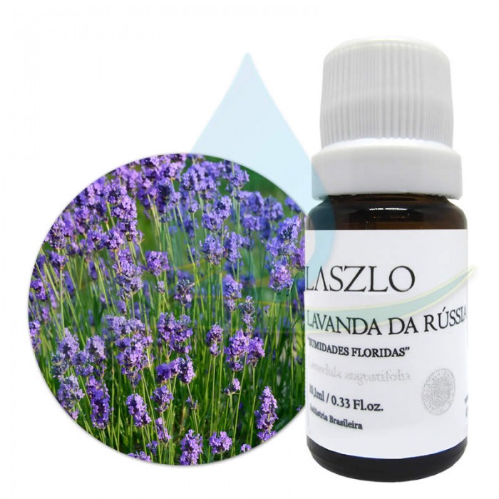 Lavanda Russa: Características, Cultivo e Fotos – Mundo Ecologia