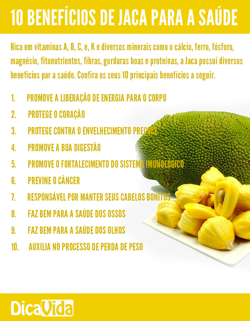 Tipos de Jacas e Variedades da Fruta: Nomes e Características | Mundo ...