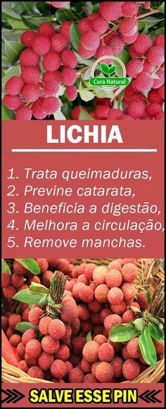 Lichia: Quais os Seus Benefícios e Malefícios? Para Que Ela Serve ...