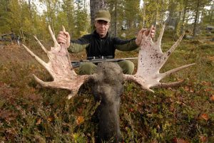 Alce Americano: Características, Nome Científico E Fotos | Mundo Ecologia