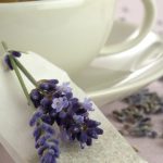 Lavanda Dentata: Chá, Propriedades e Nome Científico | Mundo Ecologia