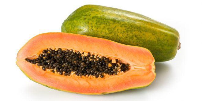 Mamão Formosa Calorias, Benefícios, Peso E Origem | Mundo Ecologia