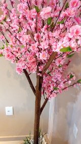 Árvore Pessegueiro: Cultivo, Como Plantar e Fazer Mudas | Mundo Ecologia