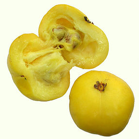 Araça-Pera: Pé, Características, Benefícios e Nome Científico – Mundo ...