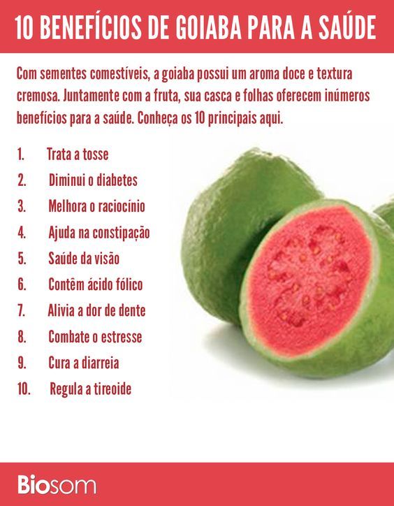Nome Popular da Goiaba no Brasil e Nome Científico | Mundo Ecologia