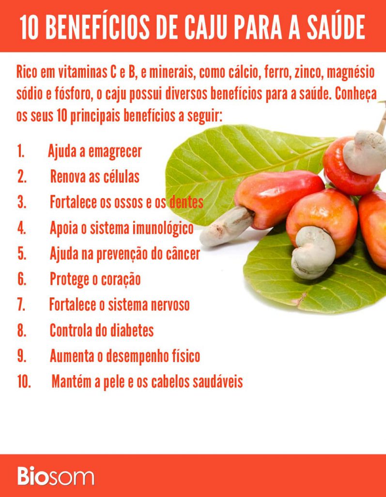 Tudo Sobre O Caju: Nome Popular E Nome Cientifico | Mundo Ecologia