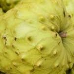 Fruta Condessa: Benefícios e Malefícios Para a Saúde – Mundo Ecologia