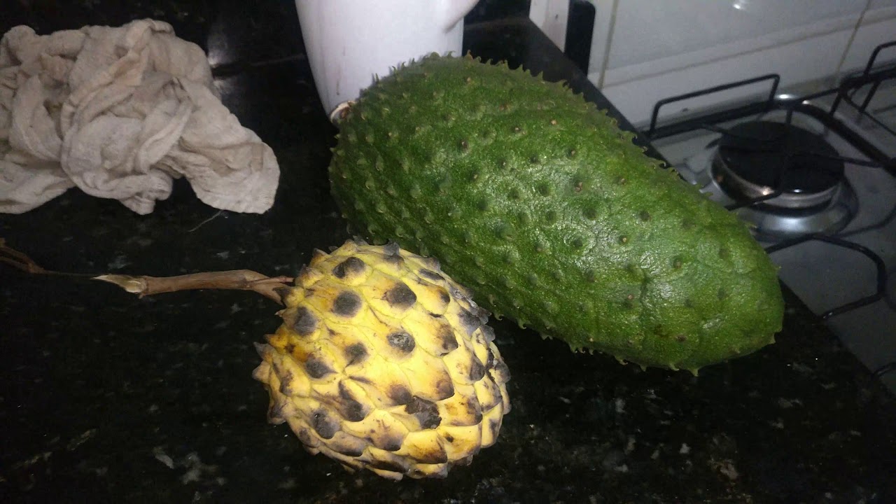 Fruta Condessa: Benefícios e Malefícios Para a Saúde – Mundo Ecologia