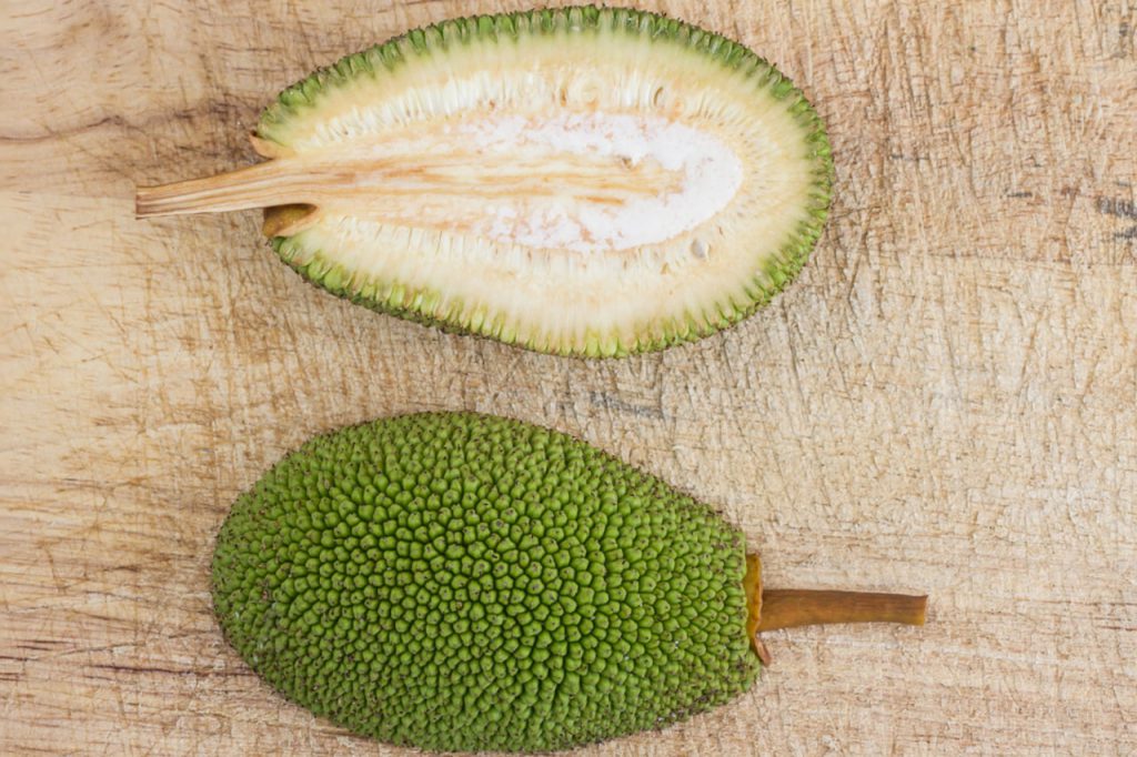 Jaca Mole: Características, Nome Científico, Benefícios e Fotos | Mundo ...