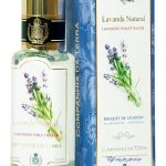 Lavandin e Lavanda: Qual a Diferença Entre Elas? – Mundo Ecologia
