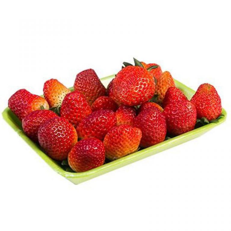 Tipos e Variedades de Morango no Brasil e no Mundo – Mundo Ecologia