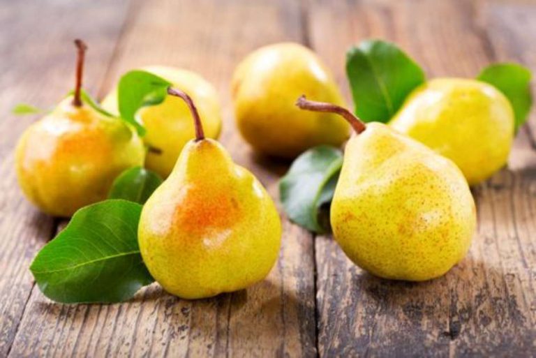Variedades de Peras Moles e Macias Para Bebês | Mundo Ecologia