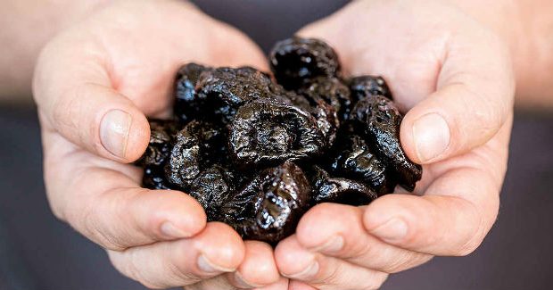 Ameixa Seca: Benefícios, Propriedades, Tipos e Para Que Serve | Mundo ...