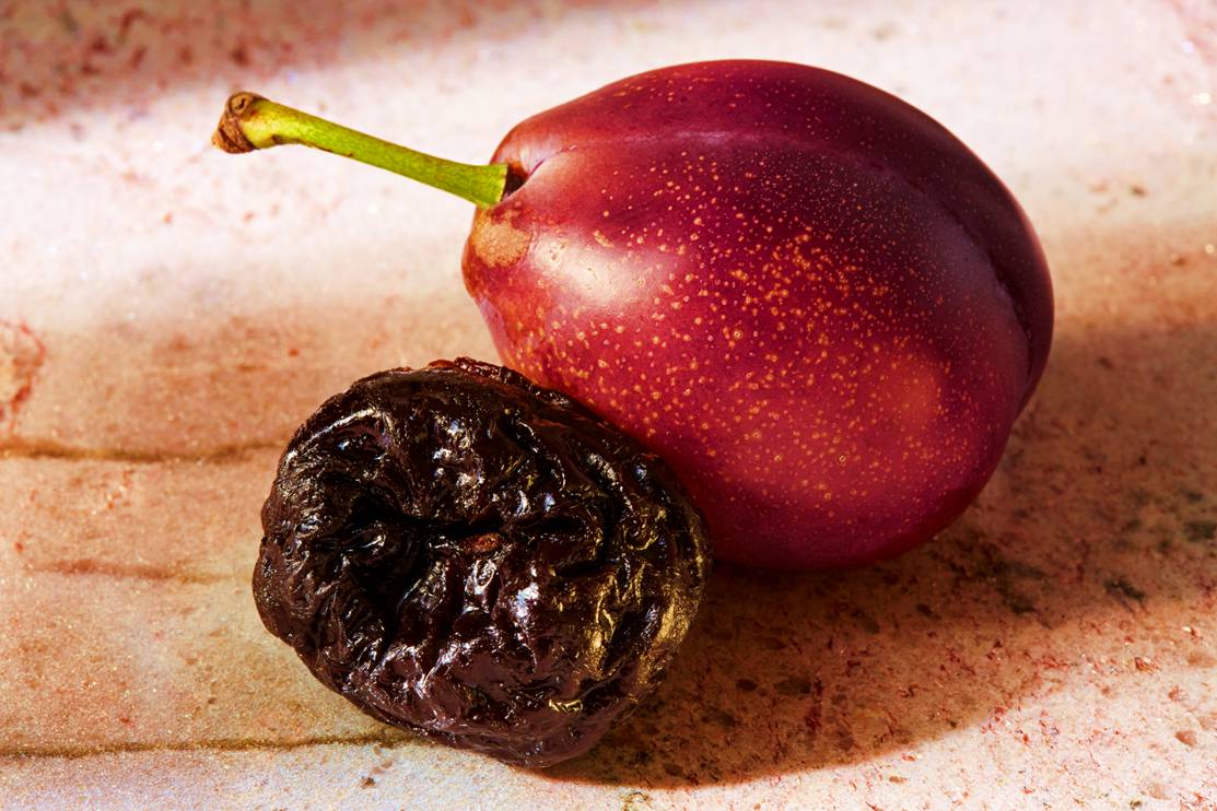 Ameixa Seca: Benefícios, Propriedades, Tipos e Para Que Serve | Mundo ...