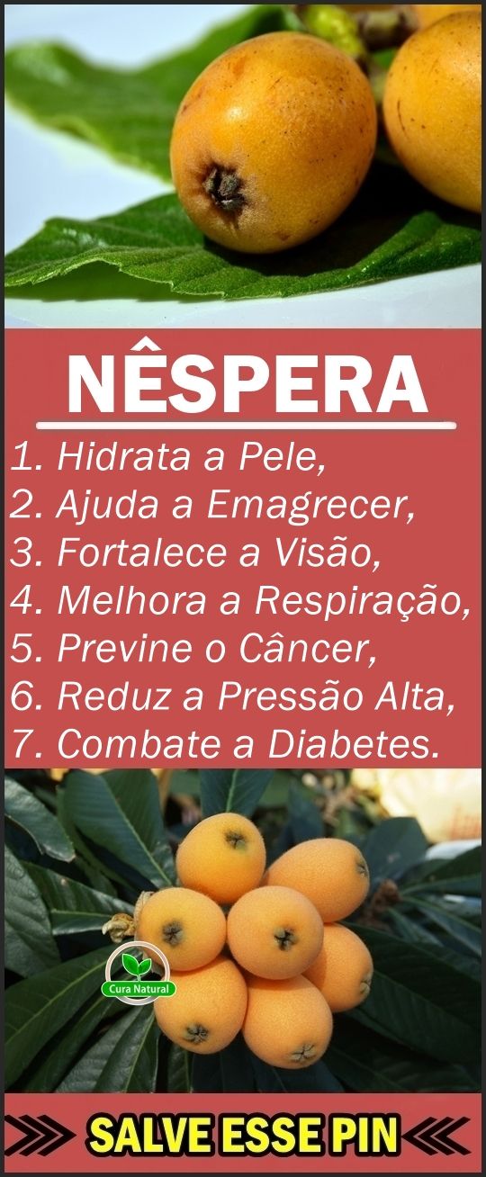 Nêspera Curiosidades e Fatos Interessantes Sobre a Fruta | Mundo Ecologia