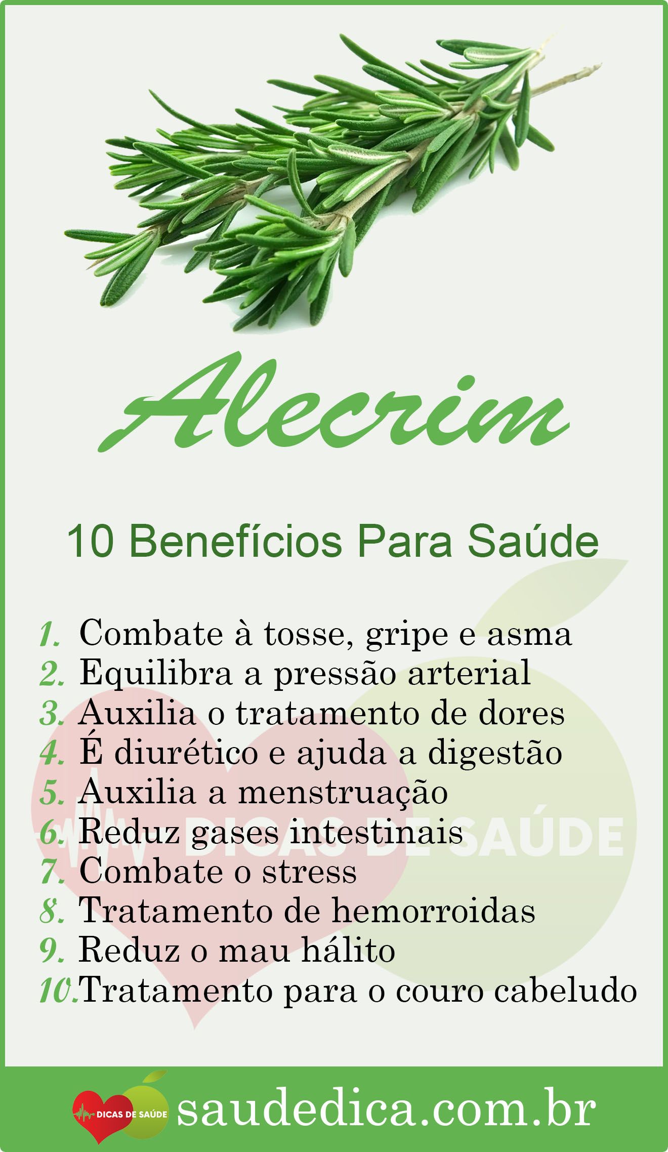 Como Usar Alecrim Desidratado? Para Que Ele Serve? | Mundo Ecologia