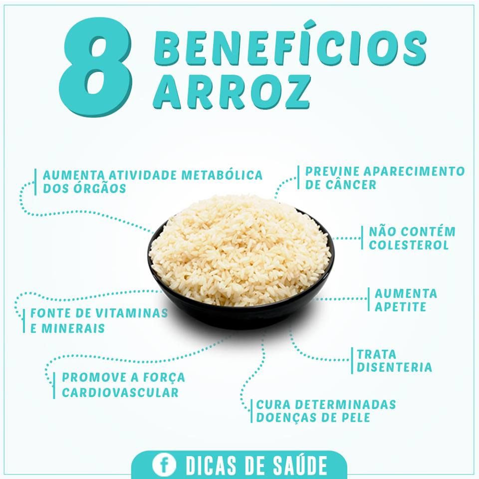 Qual a Composição do Arroz, e Vitaminas? E o Integral | Mundo Ecologia