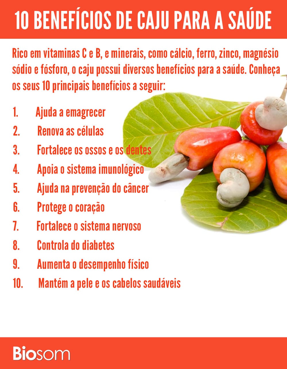 Caju Benefícios e Malefícios – Mundo Ecologia