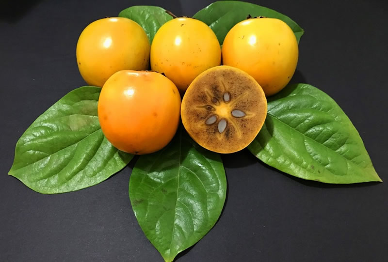 Gabiroba Beneficios e Maleficios da Fruta – Mundo Ecologia