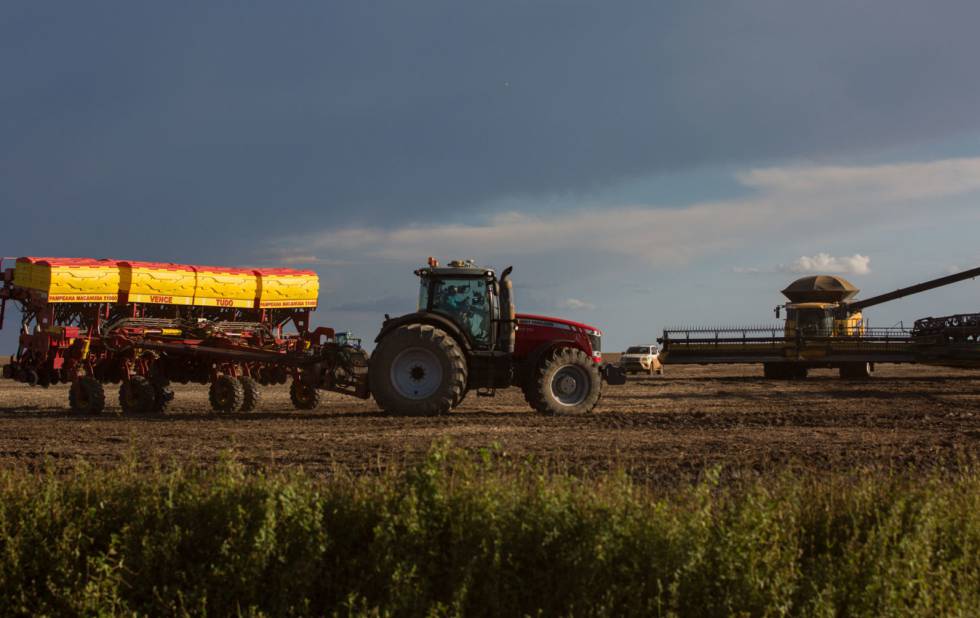 Sistema de Cultivo do Arroz e Espaçamento Para o Plantio | Mundo Ecologia