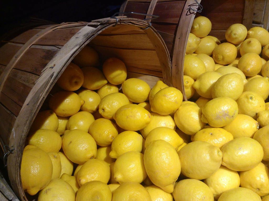 Meu Pé de Pera Não Produz: O Que Fazer Para Dar Frutos? | Mundo Ecologia