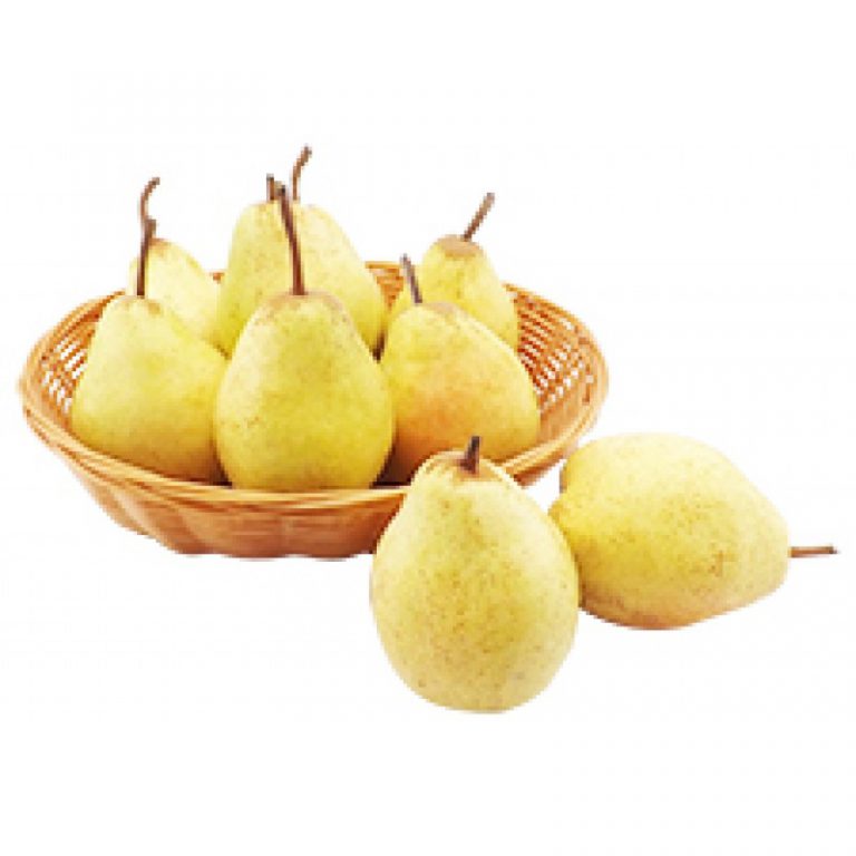 Pera Argentina: Características, Benefícios, Nome Científico e Fotos ...