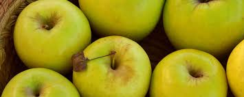 Pera Ercolini: Calorias, Nome Científico, Benefícios e Fotos | Mundo ...