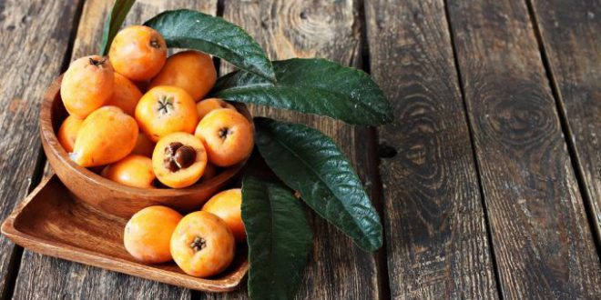 Nêsperas Calorias: a Fruta Serve para Emagrecer? | Mundo Ecologia