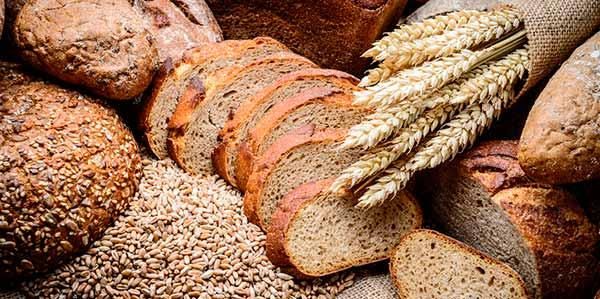 Trigo Semi Duro: Características, Nome Científico e Fotos – Mundo Ecologia